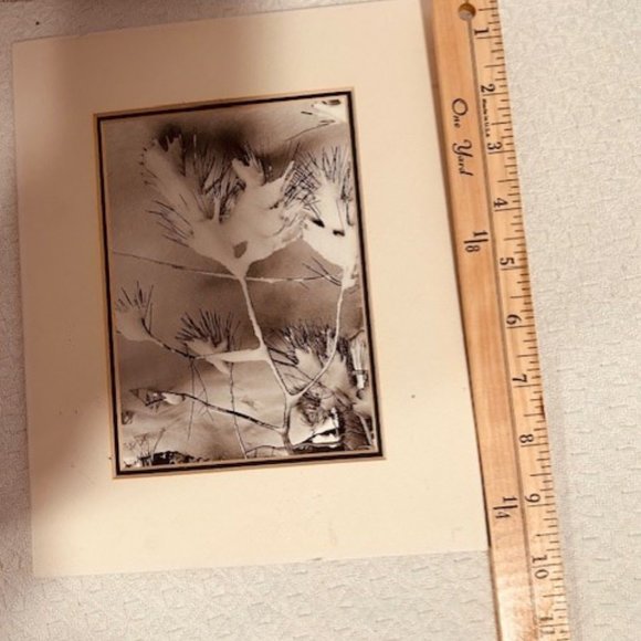 ANSEL ADAMS LITHOGRAPHIC REPRODUCTION PINE BRANCHE | Art | Ansel Adams ...